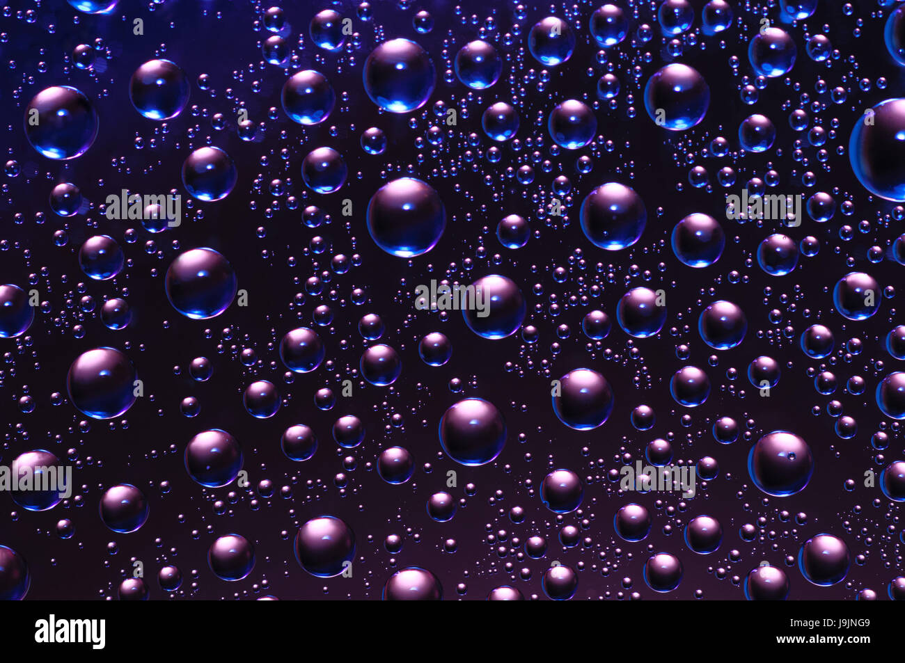 closeup, purple, drop, abstract, condensation, rain, drip, drops ...