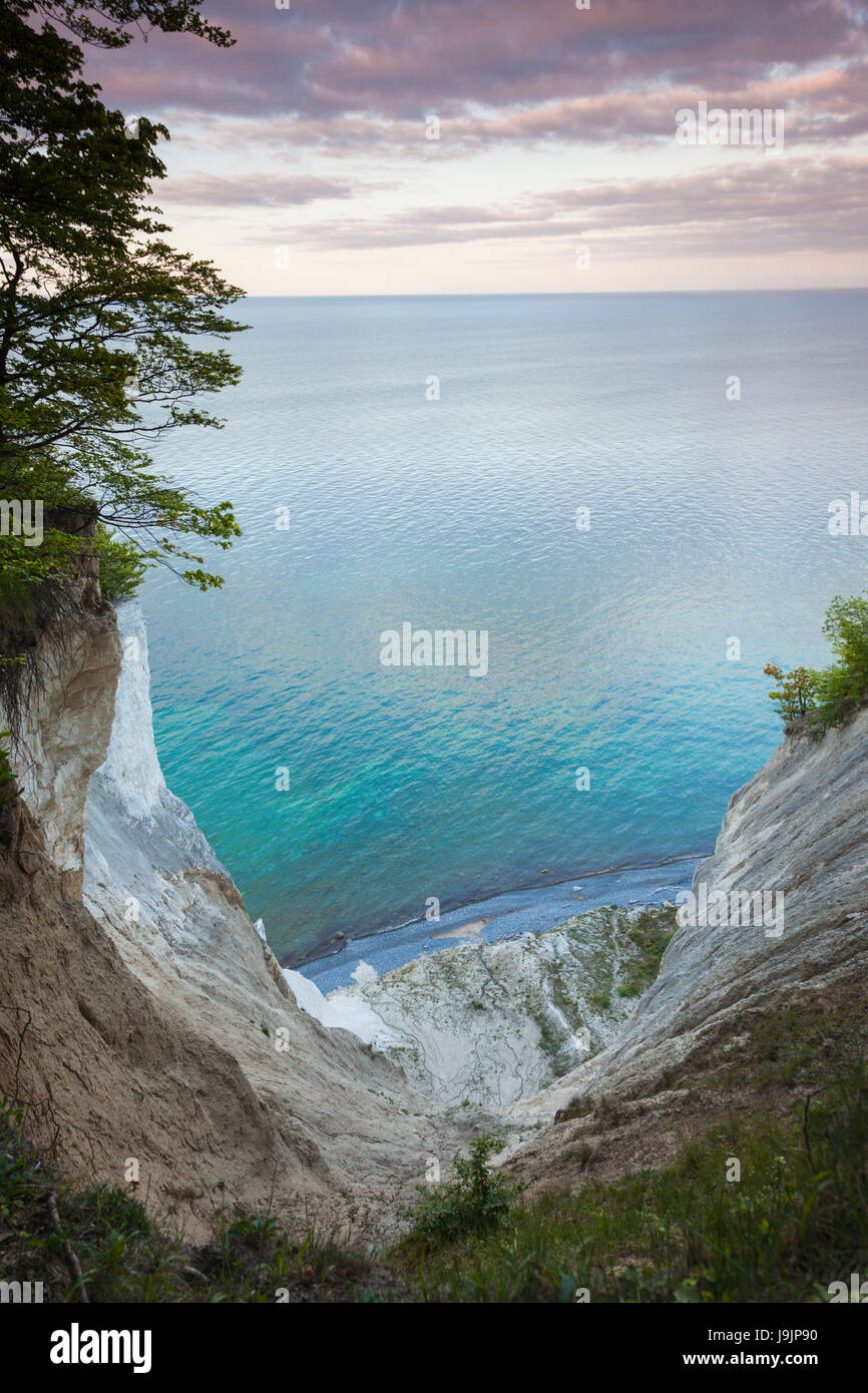 Denmark, Mon, Mons Klimt, 130 meter-highchalk cliffs from above Stock ...