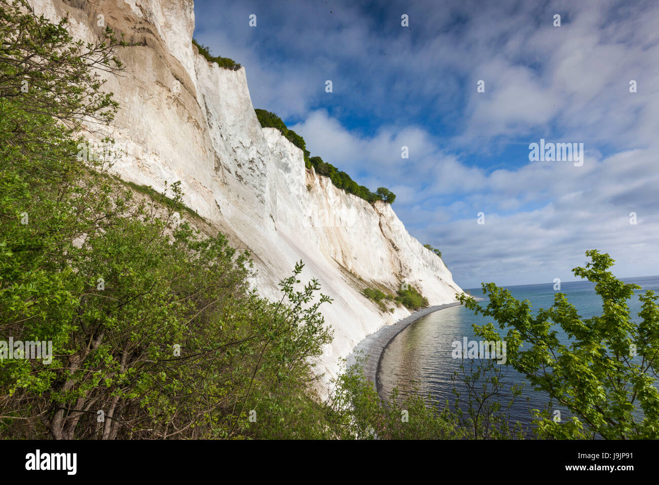 Denmark, Mon, Mons Klimt, 130 meter-high chalk cliffs from the shore ...
