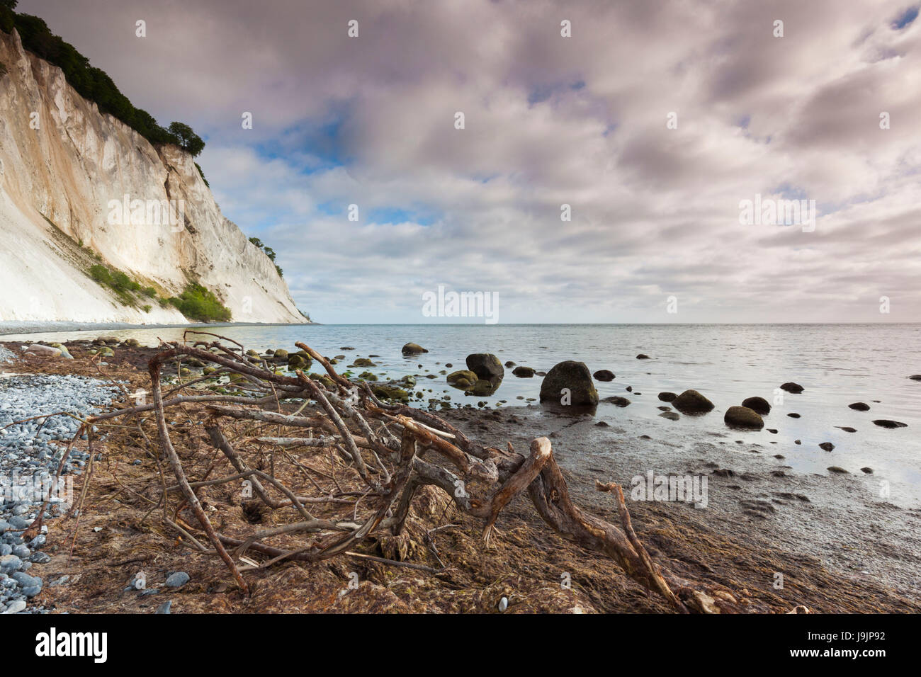 Denmark, Mon, Mons Klimt, 130 meter-high chalk cliffs from the shore ...