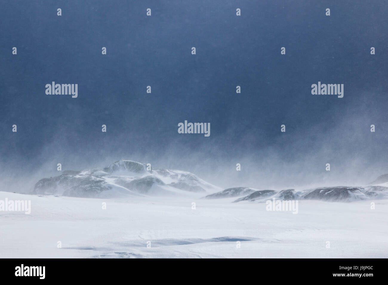 Greenland, Nuuk, late spring snow storm Stock Photo - Alamy