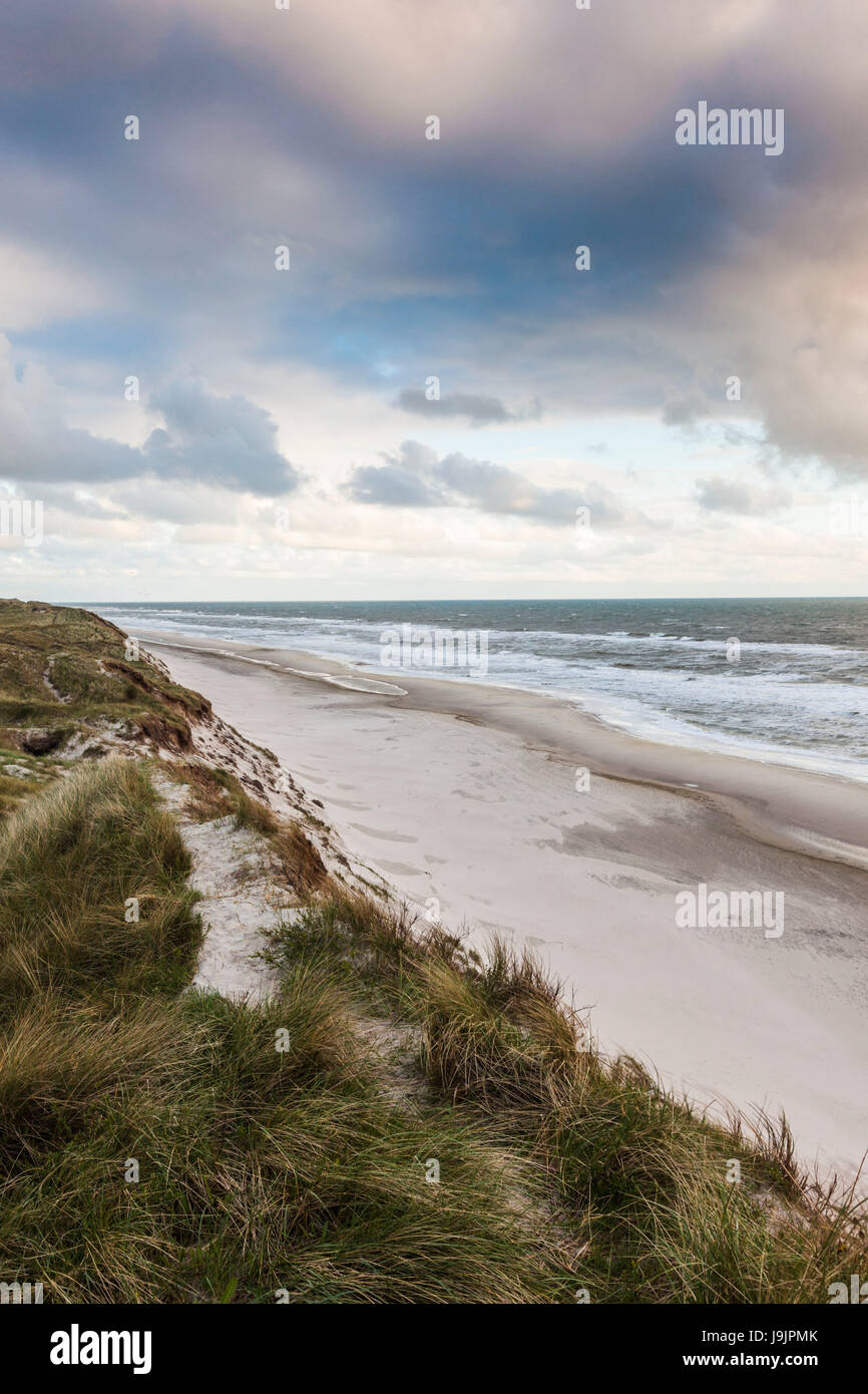 Denmark, Jutland, Danish Riviera, Hvide Sande, coastal dunes, dusk ...