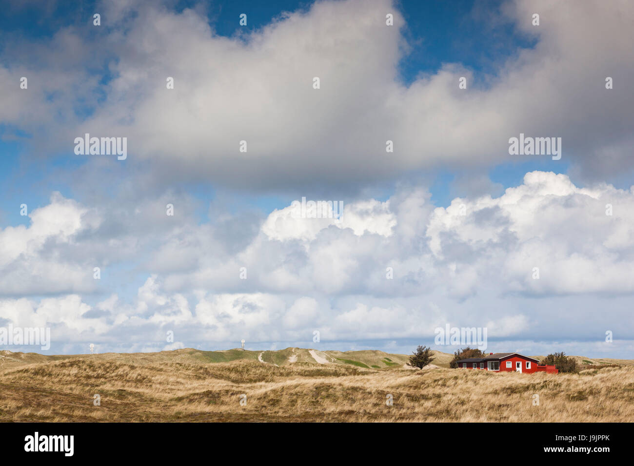 Denmark, Jutland, Danish Riviera, Hvide Sande, houses in the dunes ...
