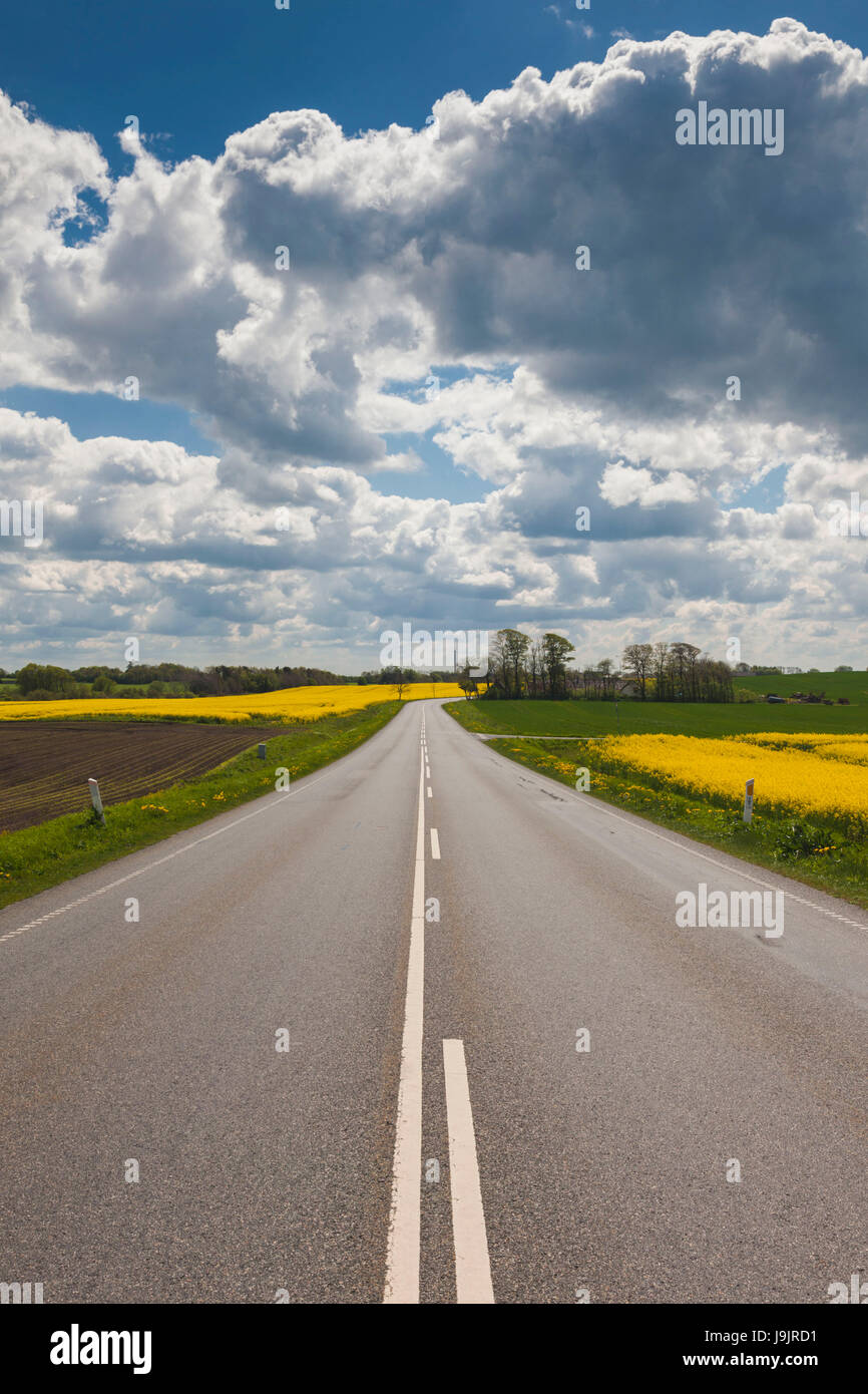 Fields rapeseed on danish hi-res stock photography and images - Alamy