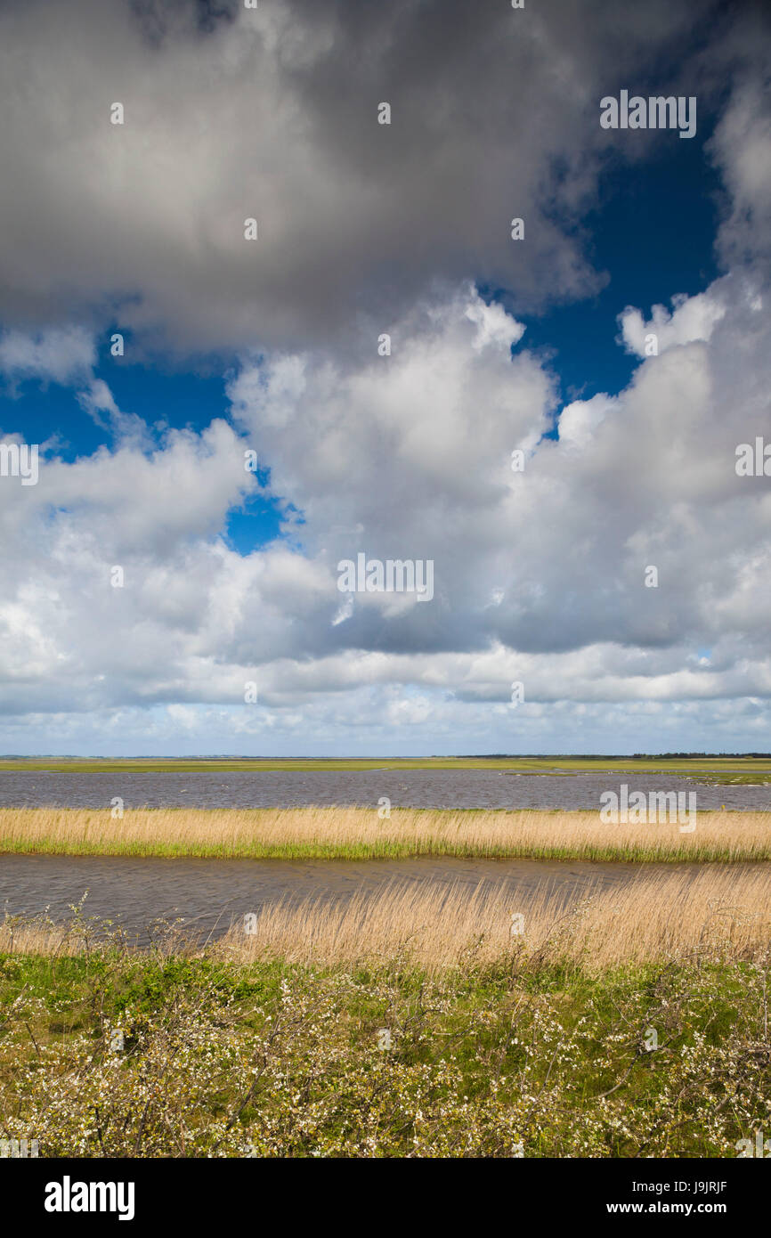 Limfjorden hi-res stock photography and images - Alamy