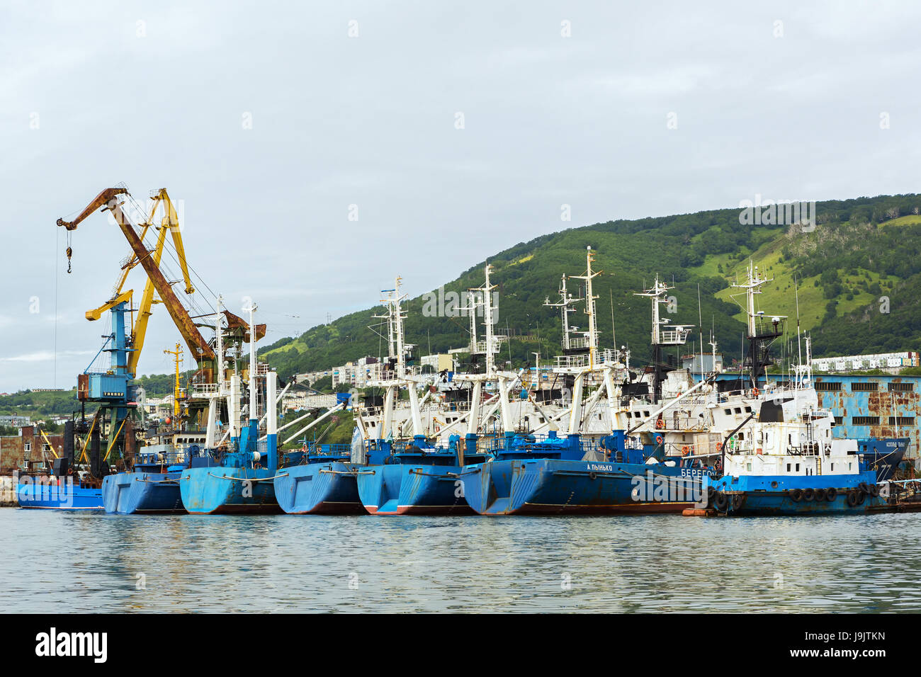 Border patrol ships of the Coast Guard and harbor cranes near the coast ...