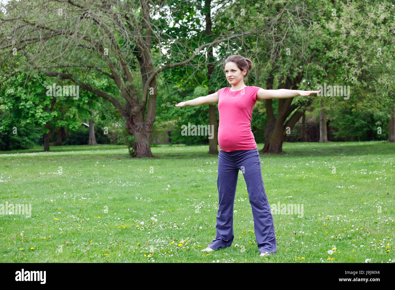 woman, beautiful, beauteously, nice, female, tree, trees, park, brown ...
