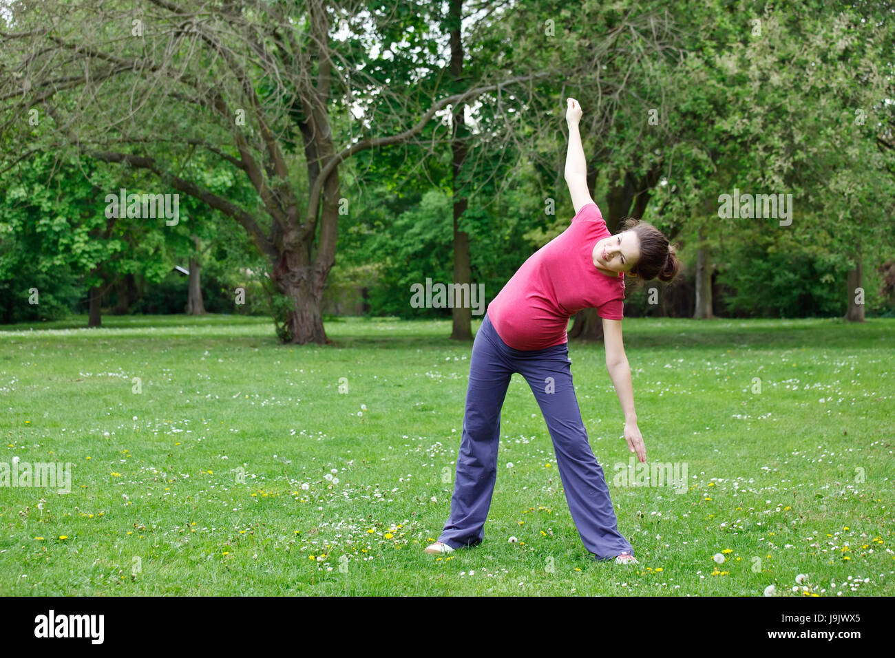 woman, beautiful, beauteously, nice, female, tree, trees, park, brown ...