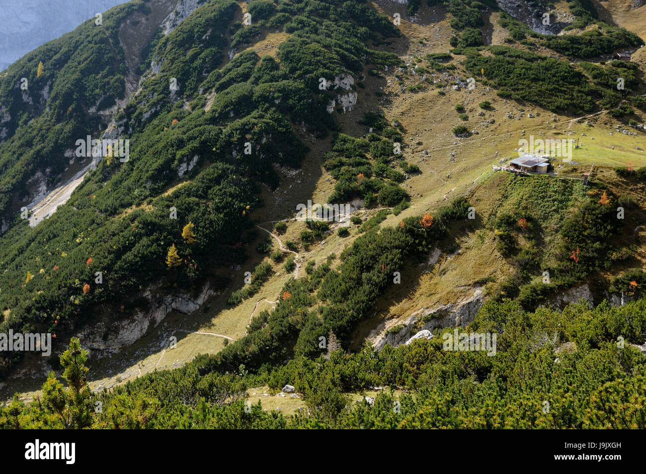 Httl hi-res stock photography and images - Alamy