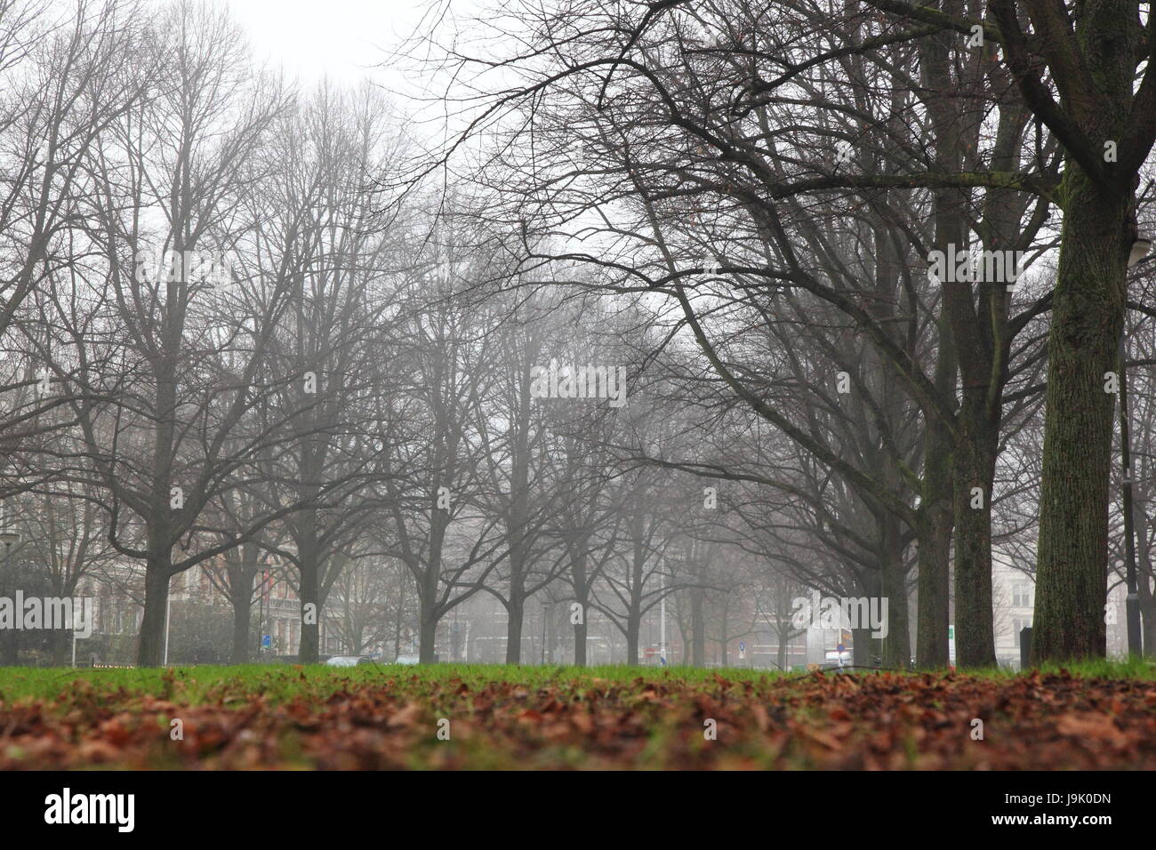 The gardens look amazing during winter in foggy climate Stock Photo - Alamy