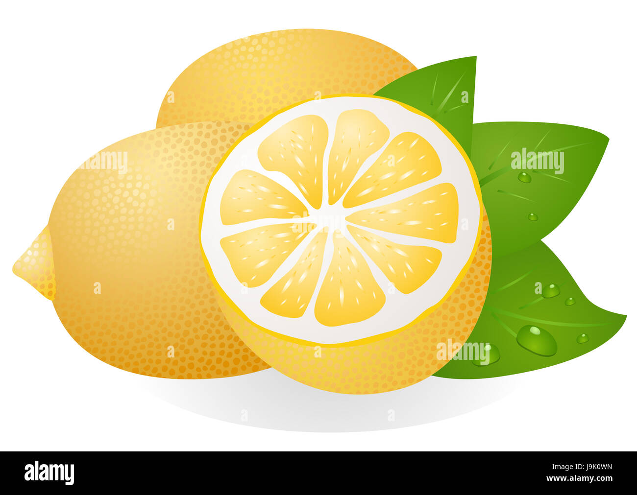 Lemon half color line Cut Out Stock Images & Pictures - Alamy