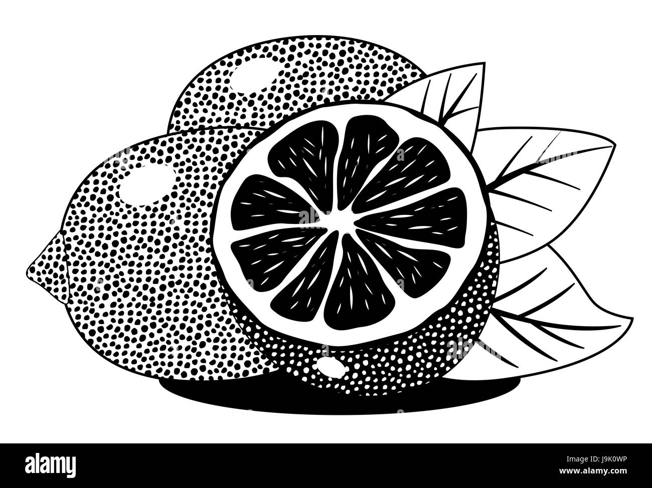 Lemon half color line Cut Out Stock Images & Pictures - Alamy