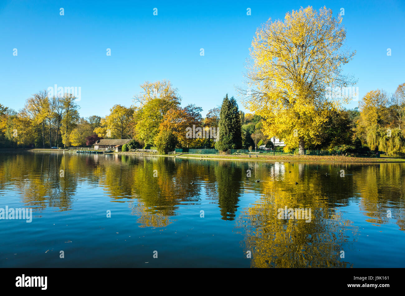 Autumn in Parc des Étangs Mellaerts, Brussels Stock Photo - Alamy