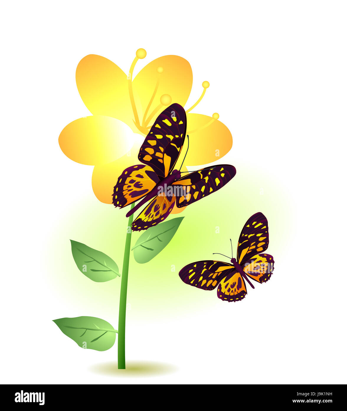 art, colour, model, design, project, concept, plan, draft, graphic ...