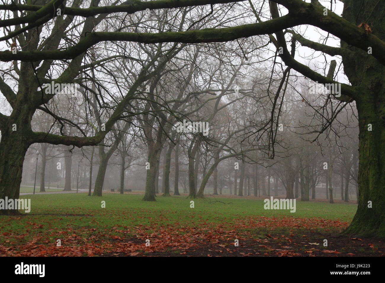 The gardens look amazing during winter in foggy climate Stock Photo - Alamy