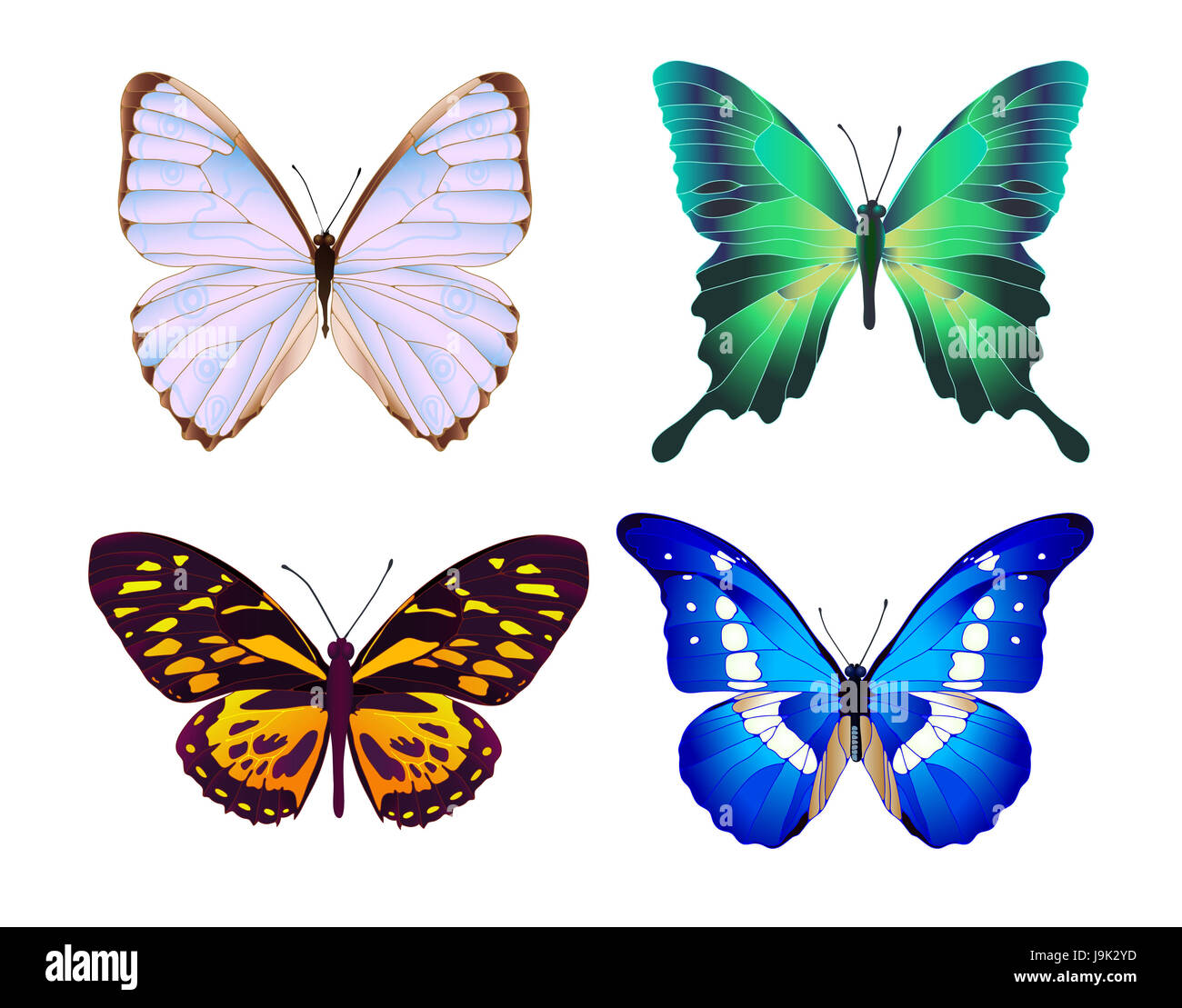 beautiful, beauteously, nice, object, art, isolated, colour, graphic ...