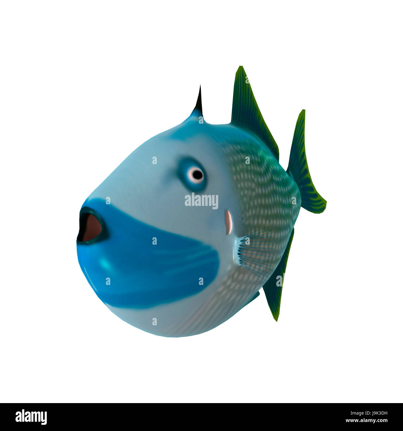 Triggerfish underwater Cut Out Stock Images & Pictures - Alamy