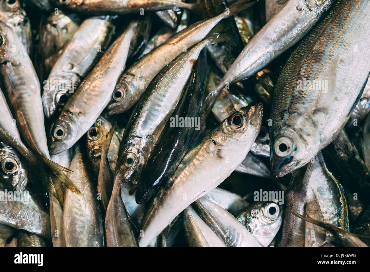Fresh seafood display supermarket hi-res stock photography and images ...
