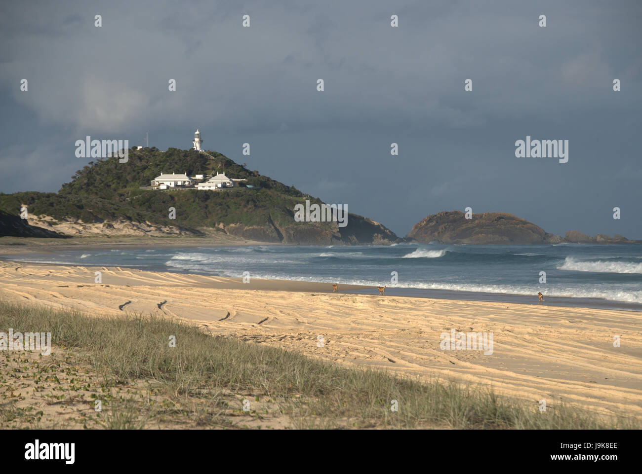 lighthouse beach seal rocks australia nsw Stock Photo - Alamy