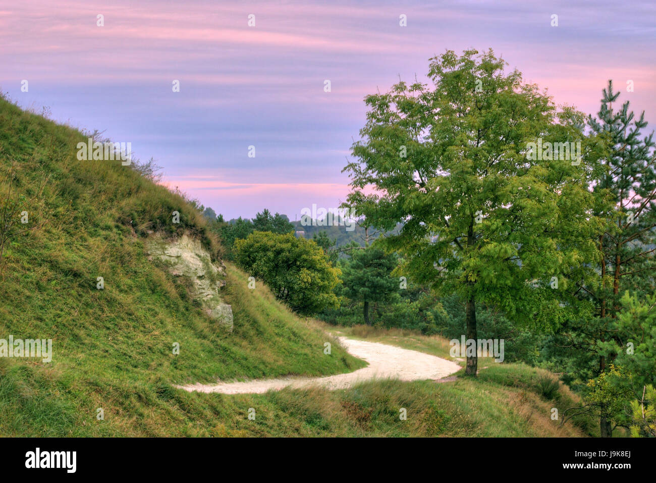 blue, beautiful, beauteously, nice, environment, enviroment, tree ...