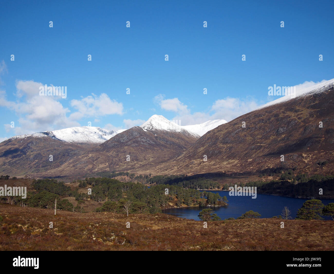 scotland, scottish, landscape, scenery, countryside, nature, tree, hill ...
