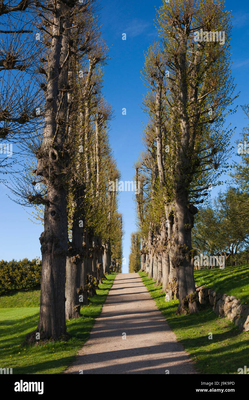 Denmark, Zealand, Hillerod, Frederiksborg Castle, trees on castle ...