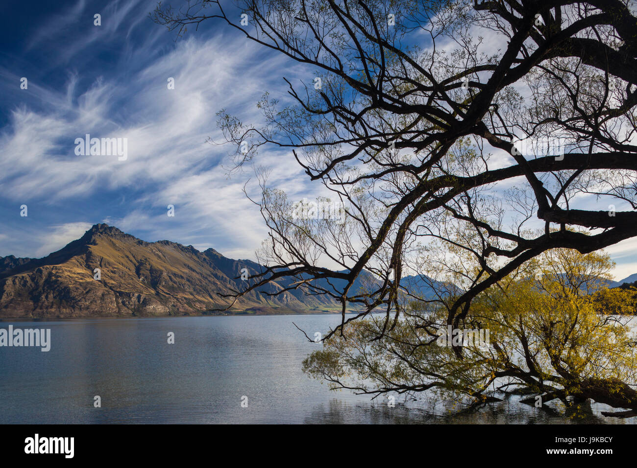 Landscape in otago new hi-res stock photography and images - Alamy