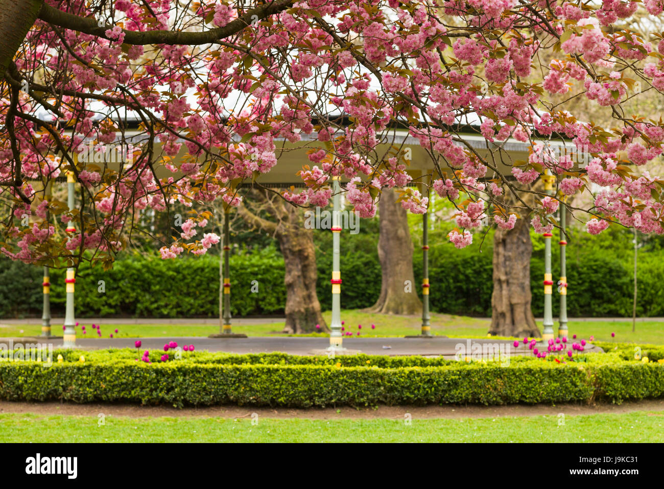 Irish park spring hi-res stock photography and images - Alamy