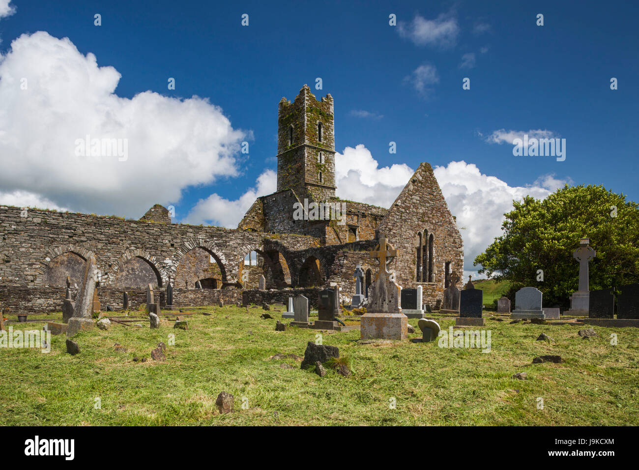 Ireland, County Cork, Timoleague, Tomoleague Abbey ruins, 13th century ...