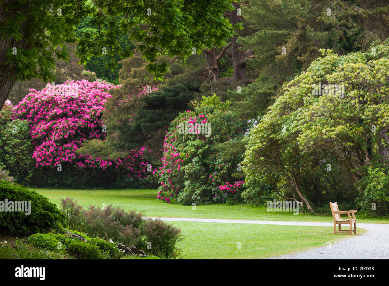 Ireland, County Kerry, Ring of Kerry, Killarney, Killarney National ...