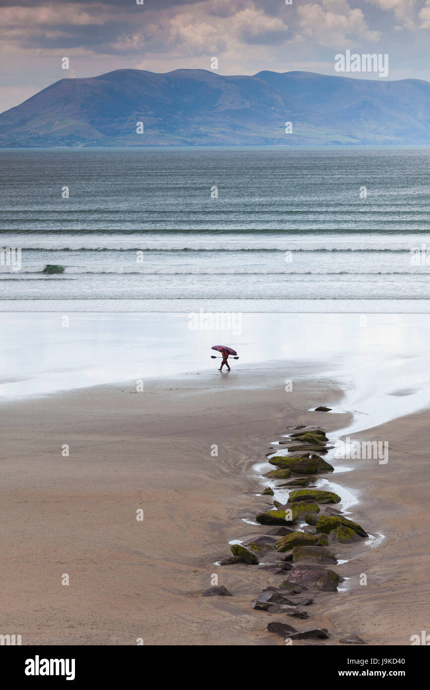 Ireland, County Kerry, Dingle Peninsula, Inch Strand, beach Stock Photo ...