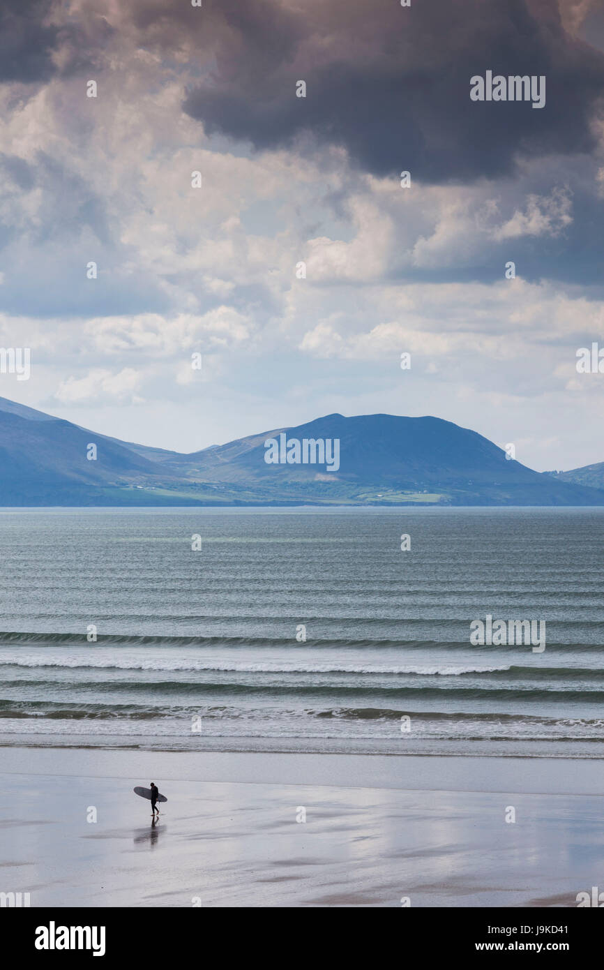 Ireland, County Kerry, Dingle Peninsula, Inch Strand, beach Stock Photo ...
