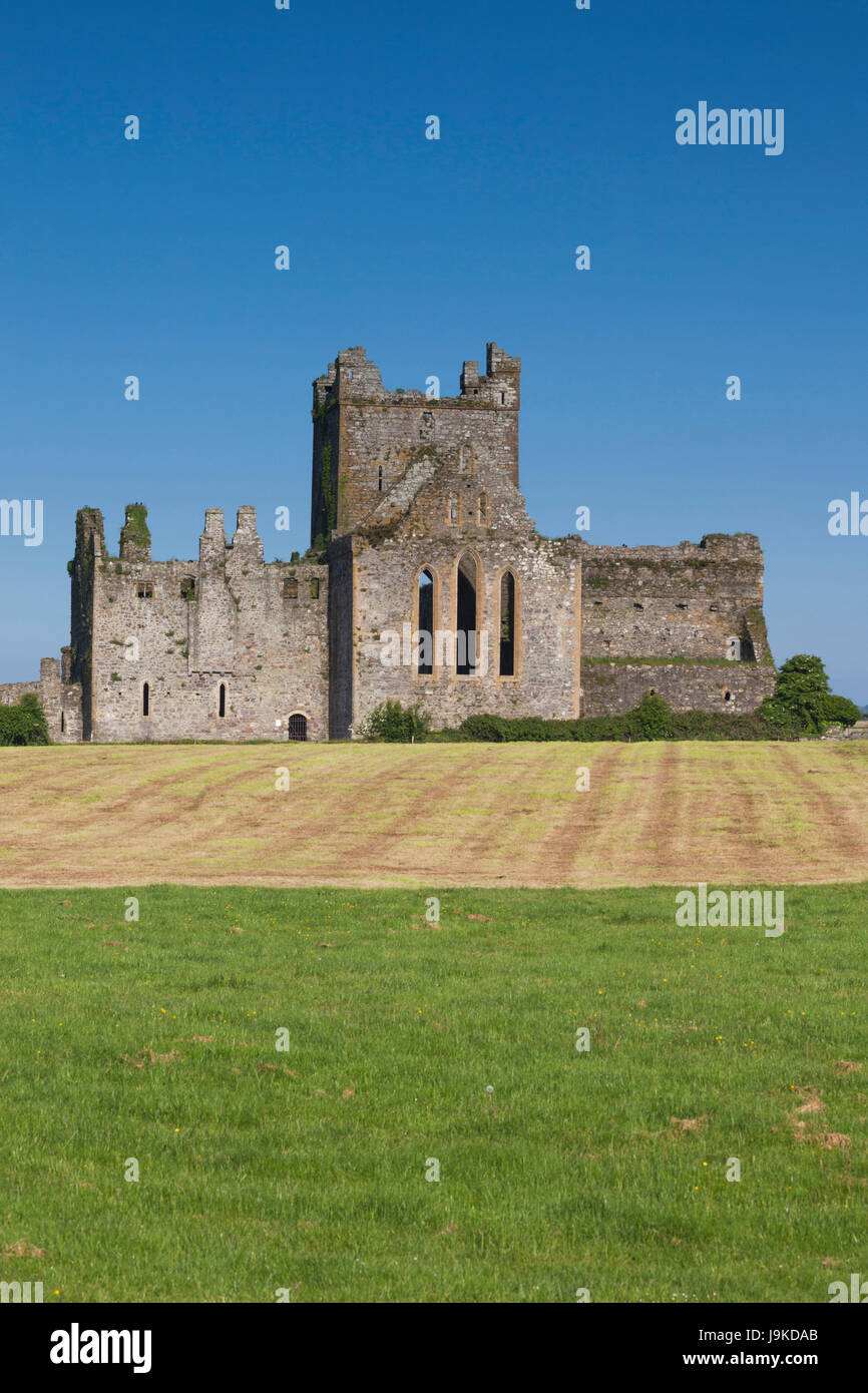 Ireland, County Wexford, Hook Peninsula, Campile, Dunbrody Abbey, 12th ...