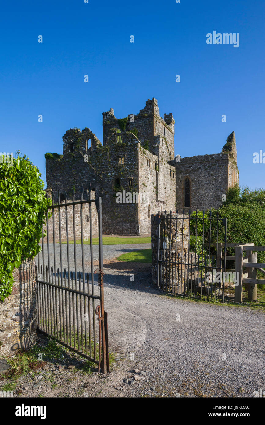 Ireland, County Wexford, Hook Peninsula, Campile, Dunbrody Abbey, 12th ...