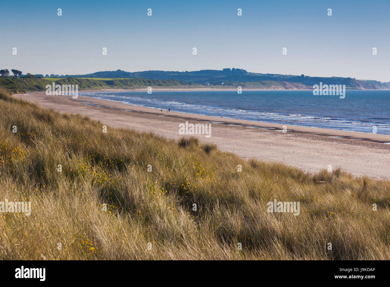 Ireland, County Wexford, Curracloe, Curracloe Beach, stand in for Omaha ...