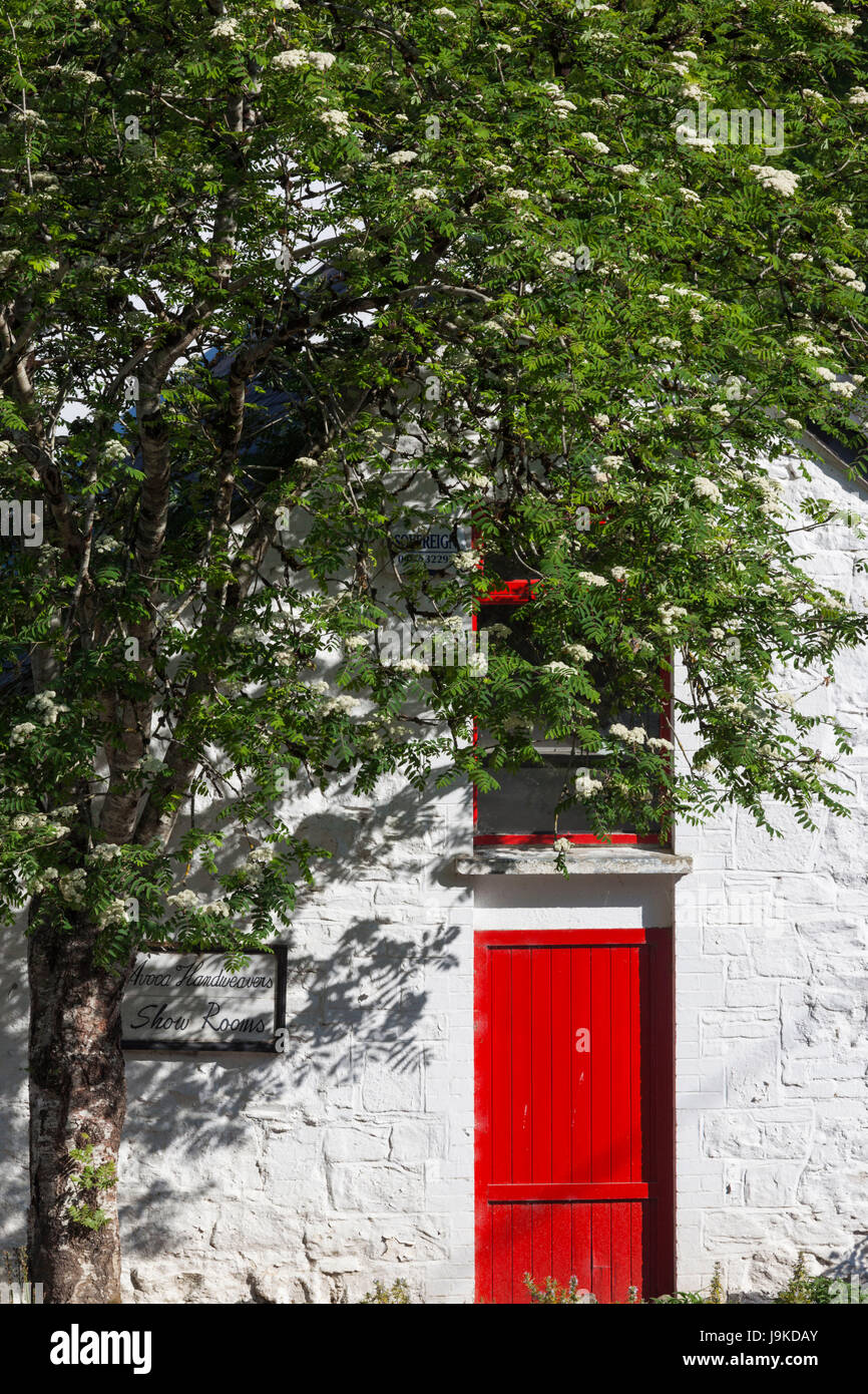 Ireland, County Wicklow, Avoca, Avoca Handweavers, weavers housed in ...