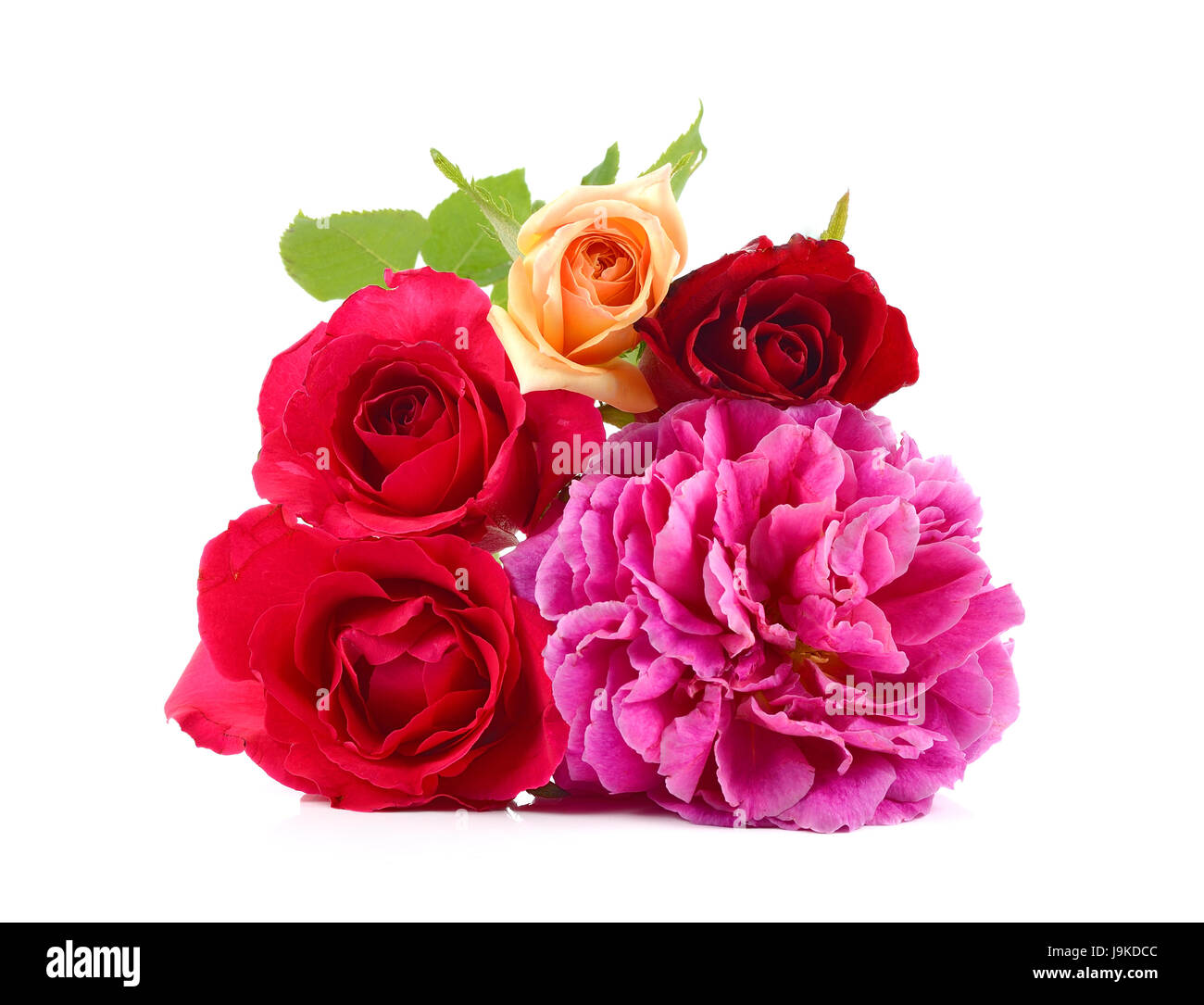 Charming wallpaper Cut Out Stock Images & Pictures - Alamy