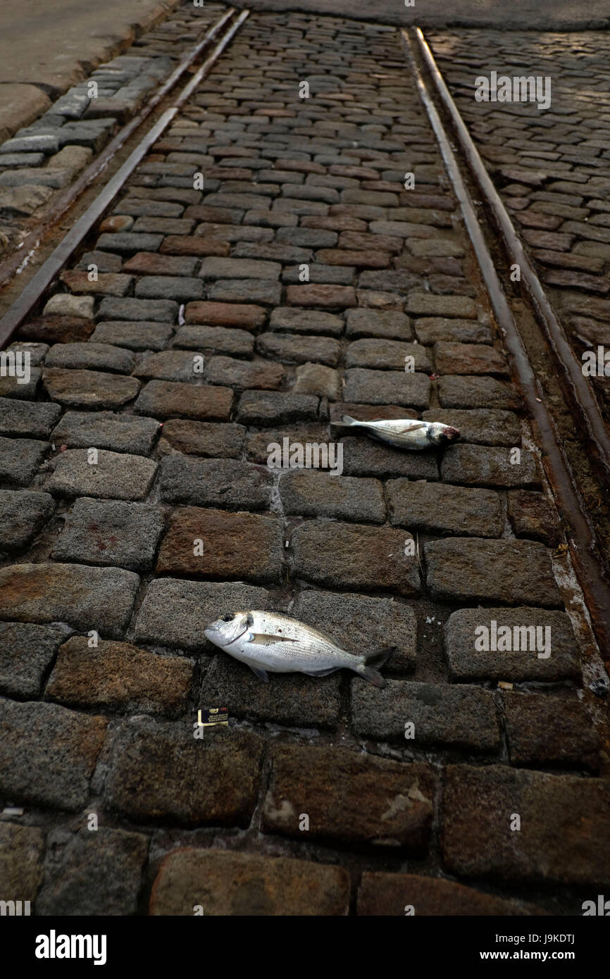 Dead rail hi-res stock photography and images - Alamy