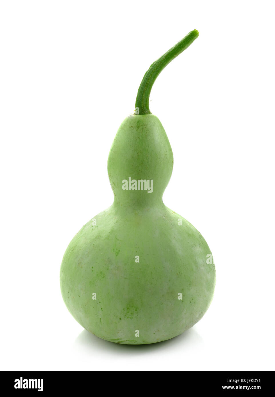 Green fresh calabash vegetable on white background Stock Photo - Alamy
