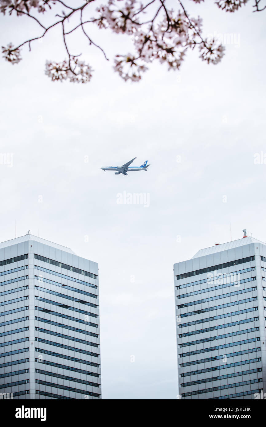 Ohanami hi-res stock photography and images - Alamy