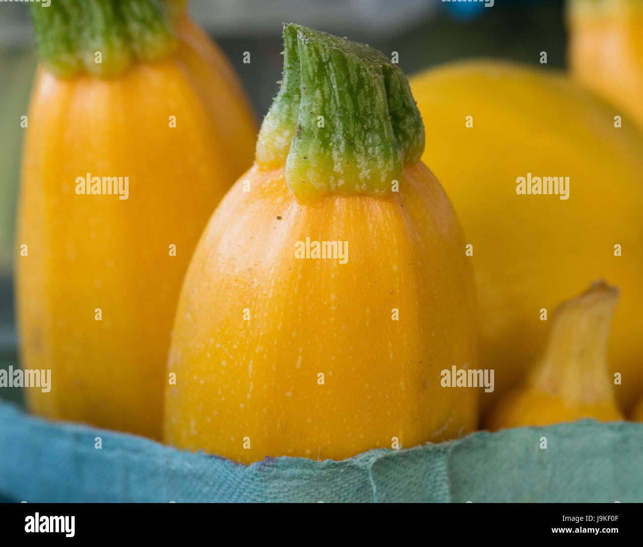 Yellow squash on sale at the USDA Farmers Market May 26, 2017 in ...