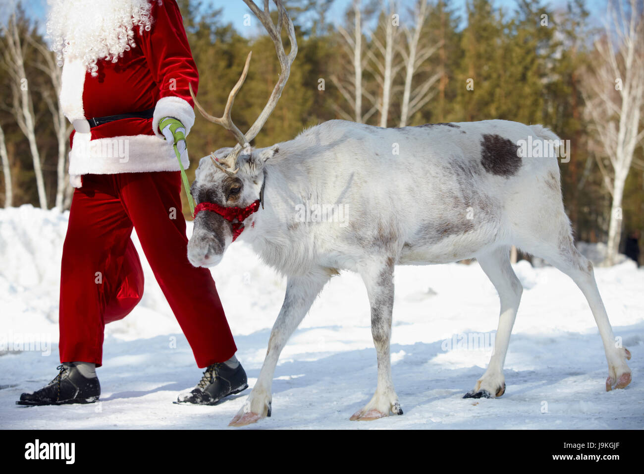 humans, human beings, people, folk, persons, human, human being, walk ...