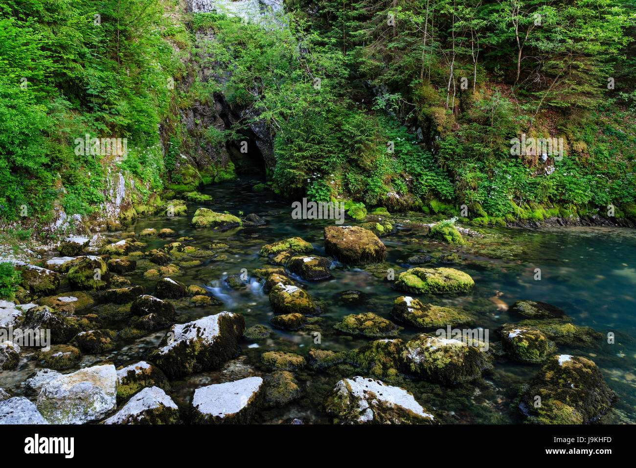 Haut jura regional natural park hi-res stock photography and images - Alamy