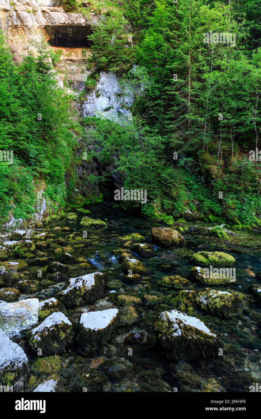 France, Doubs, parc naturel régional du Haut-Jura (Jura Mountains ...