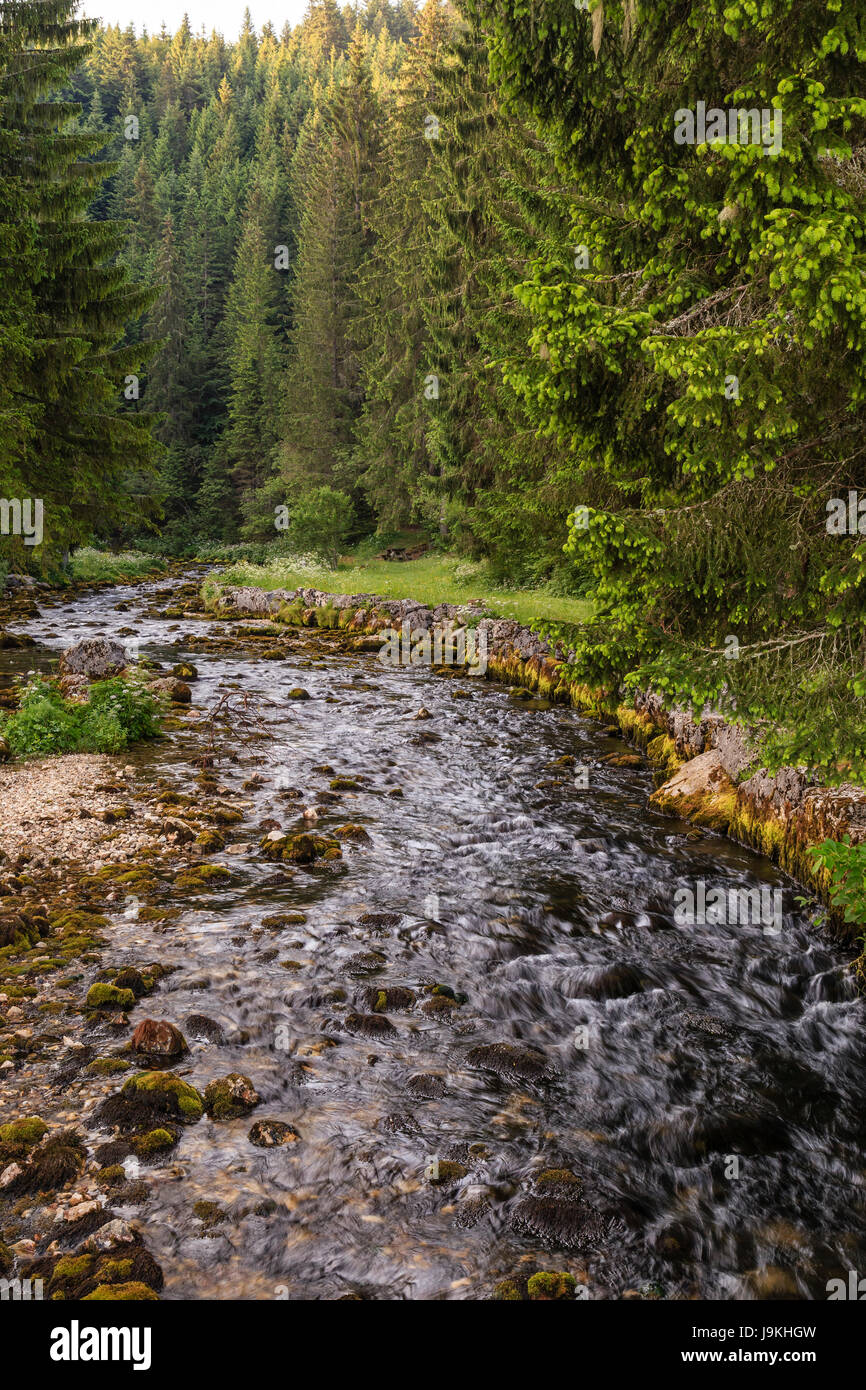 France, Doubs, parc naturel régional du Haut-Jura (Jura Mountains ...