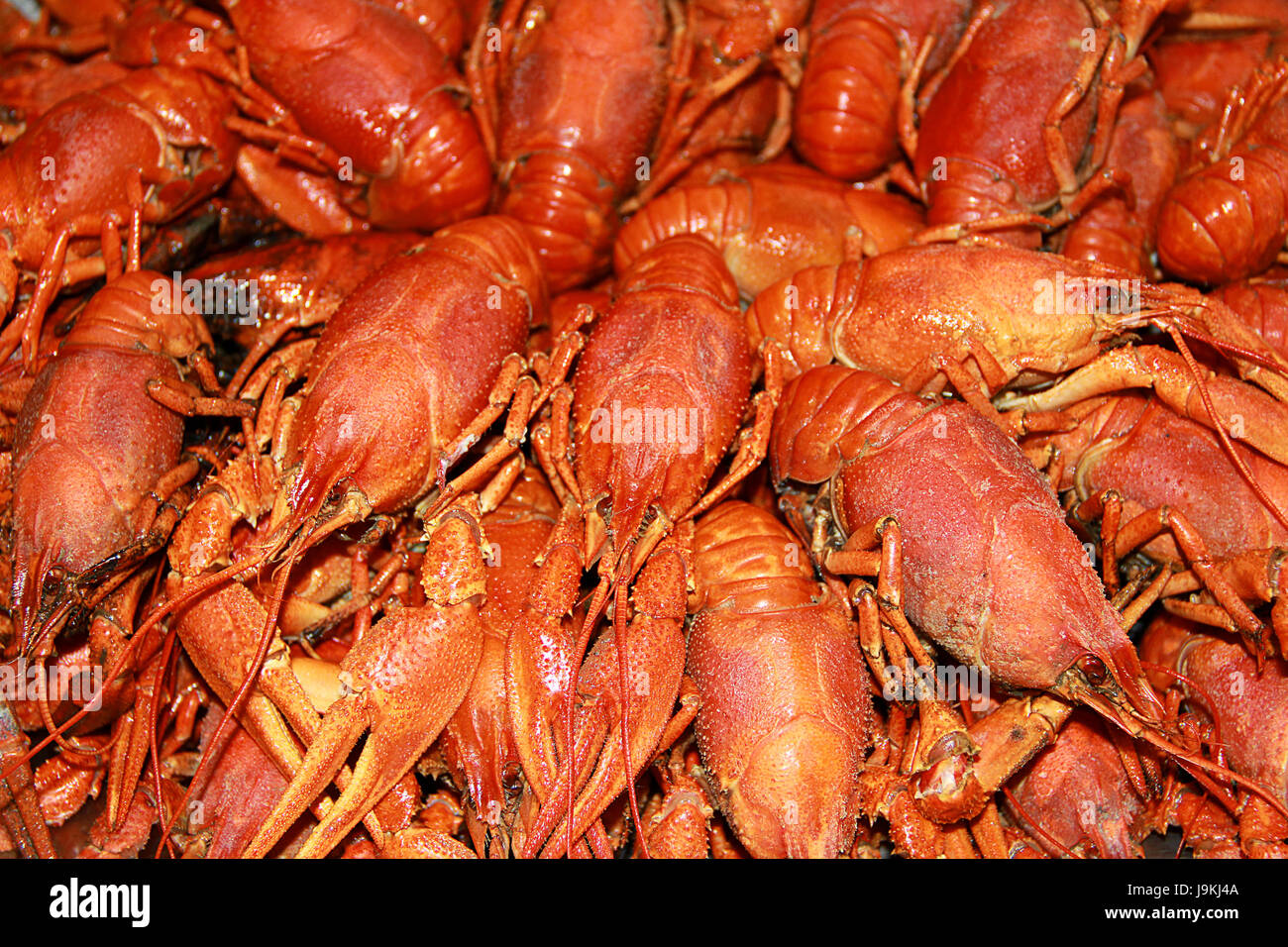 food, aliment, animal, amphibian, fish, traditional, cancer, dish, meal ...