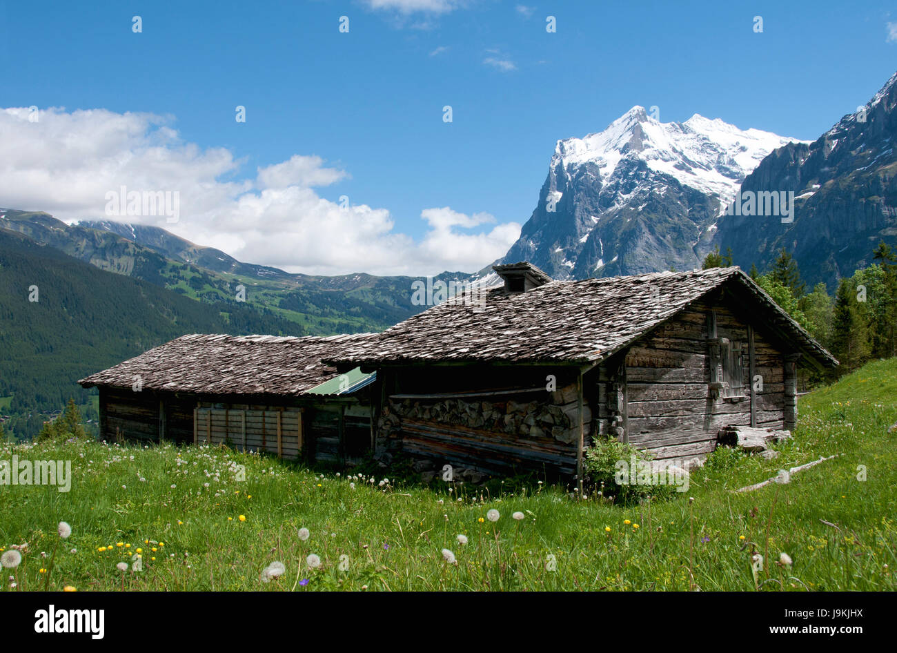 alp, framehouse, switzerland, farmhouse, house, home, dwelling house ...