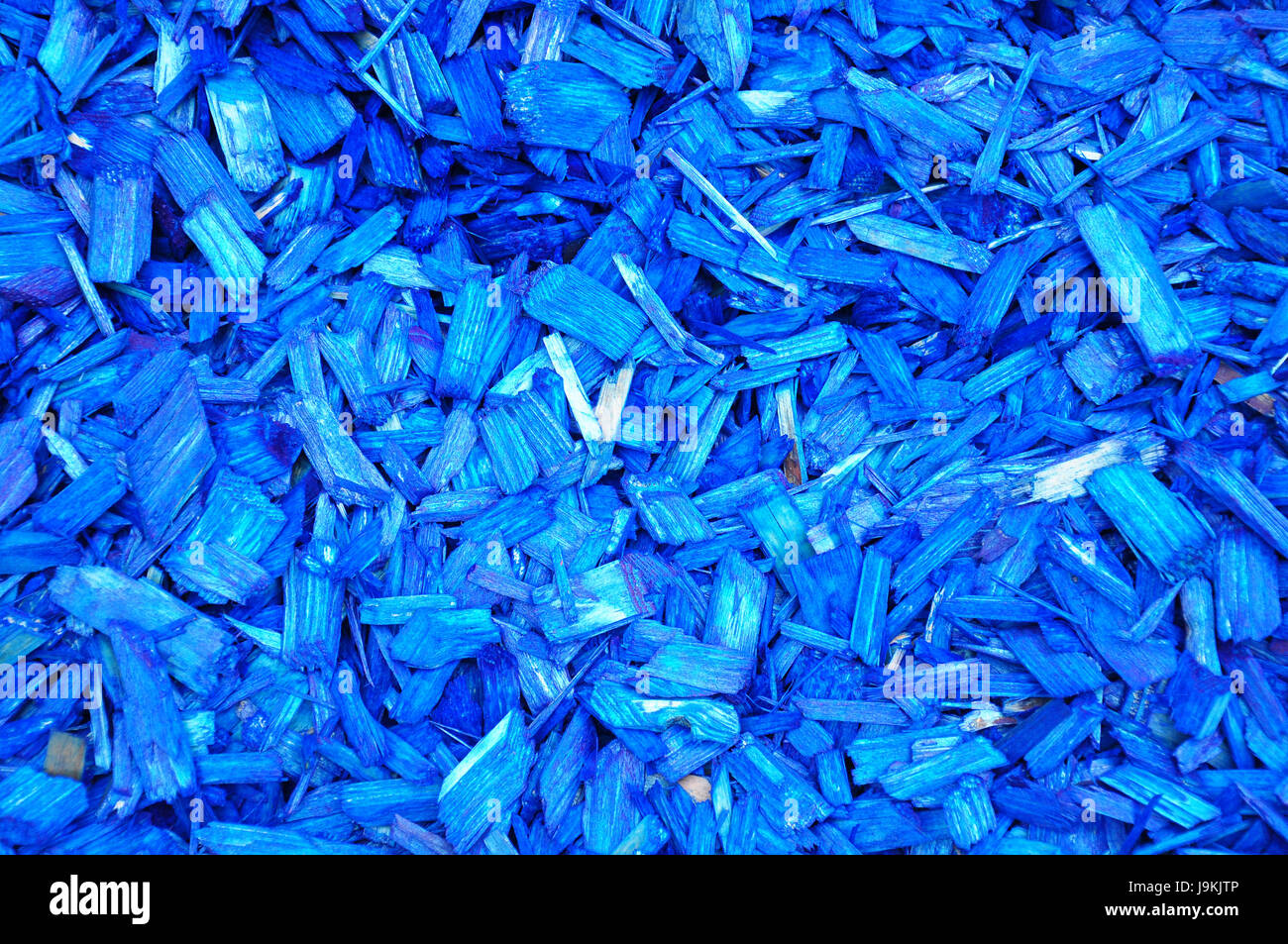 blue, environment, enviroment, colour, tree, garden, wood, coloured ...