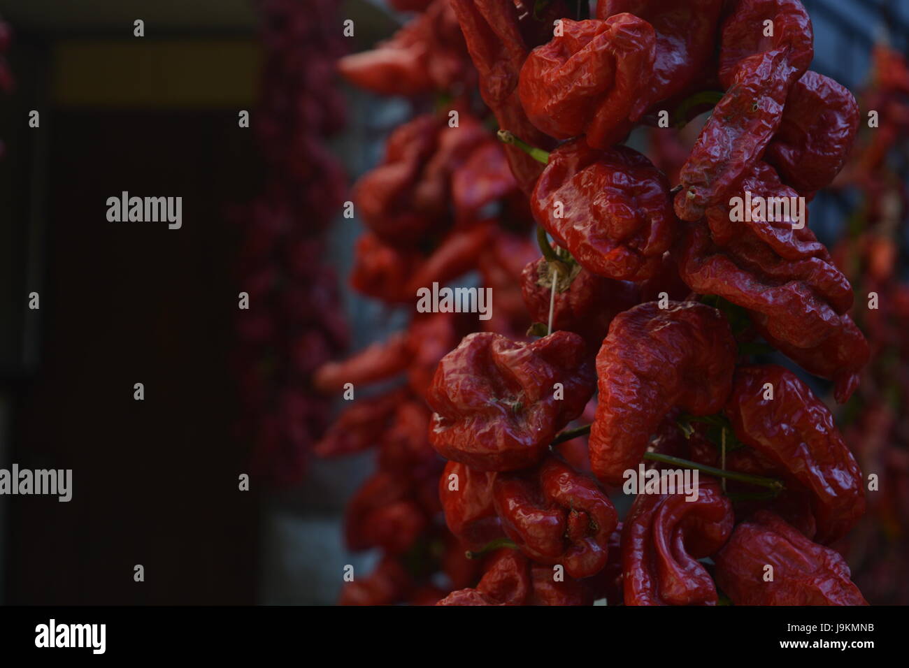 Drying red peppers Stock Photo - Alamy