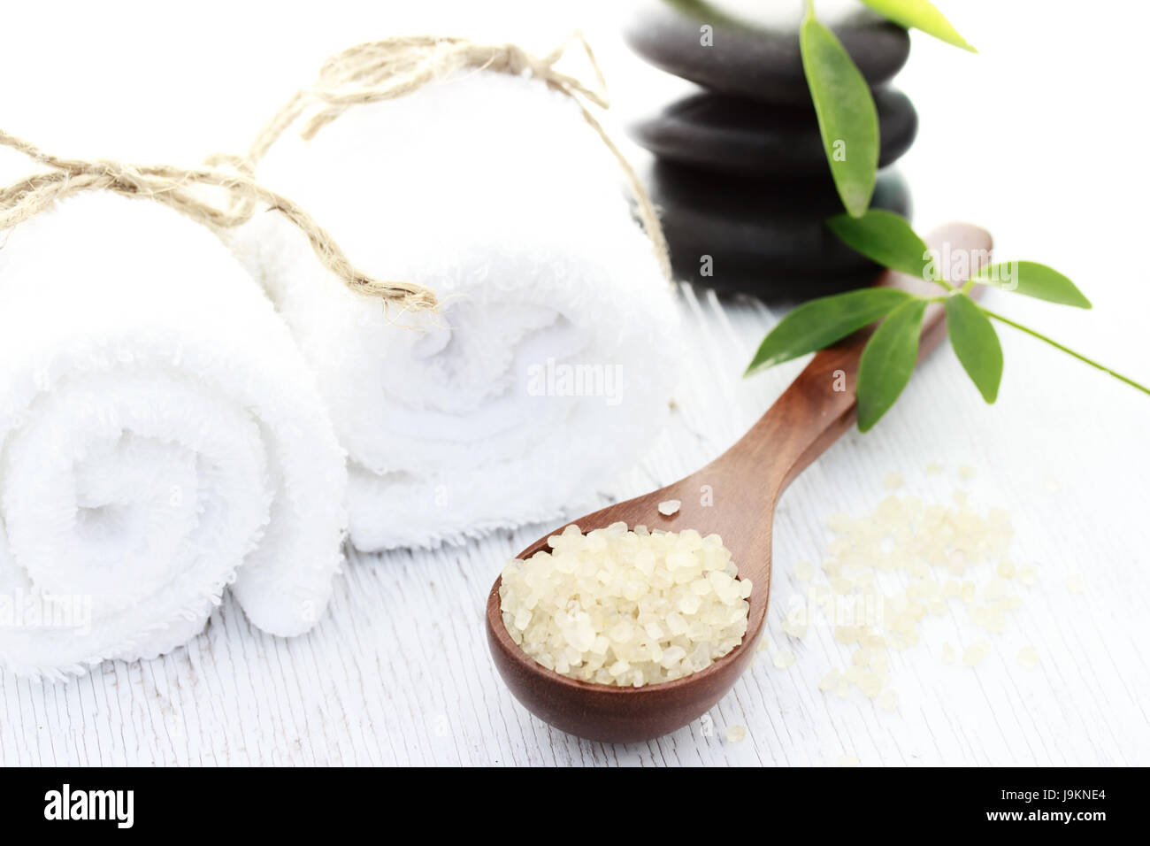 salt, leaf, health, model, design, project, concept, plan, draft ...